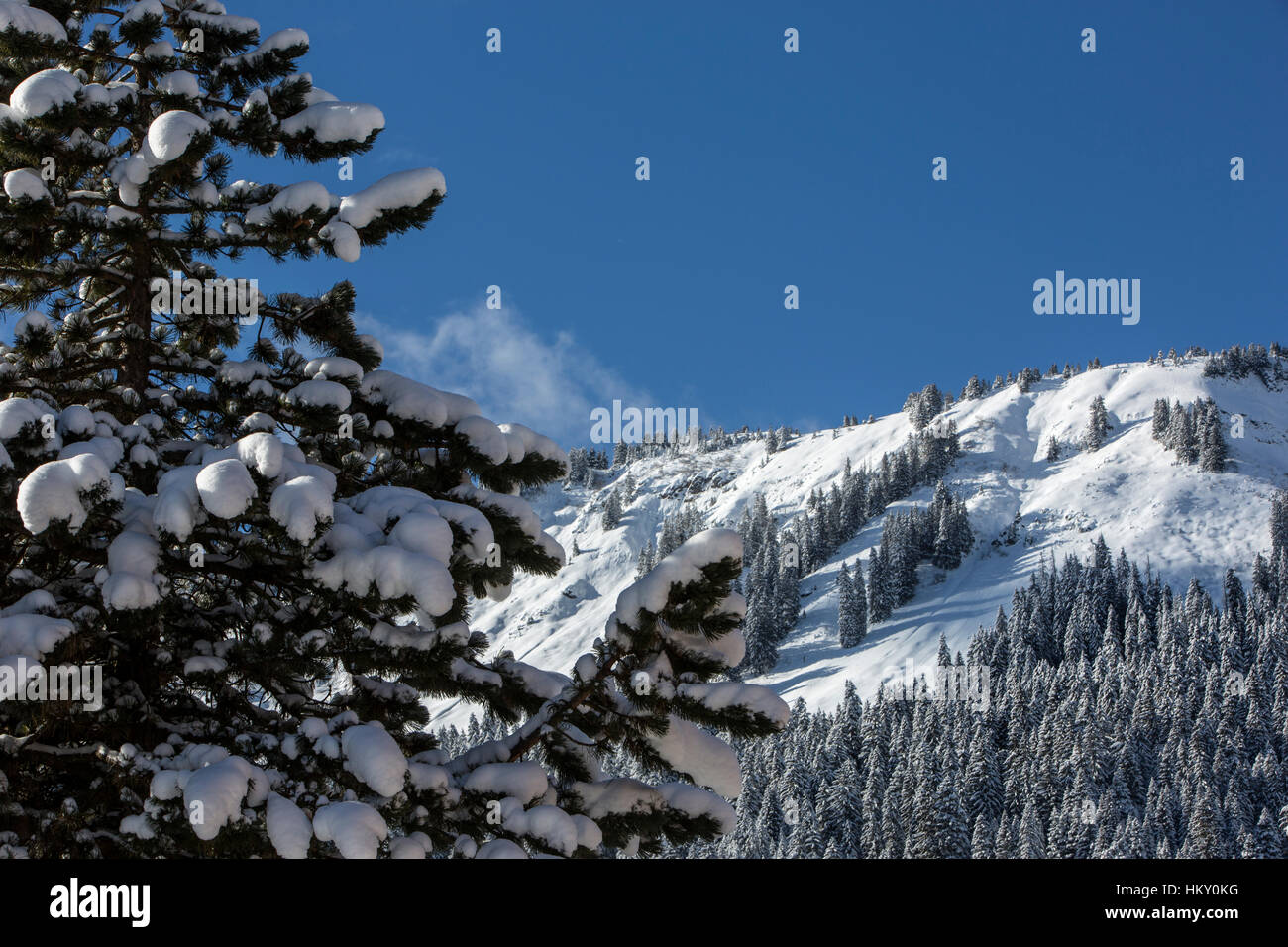 Neige suisse Banque de photographies et d’images à haute résolution - Alamy