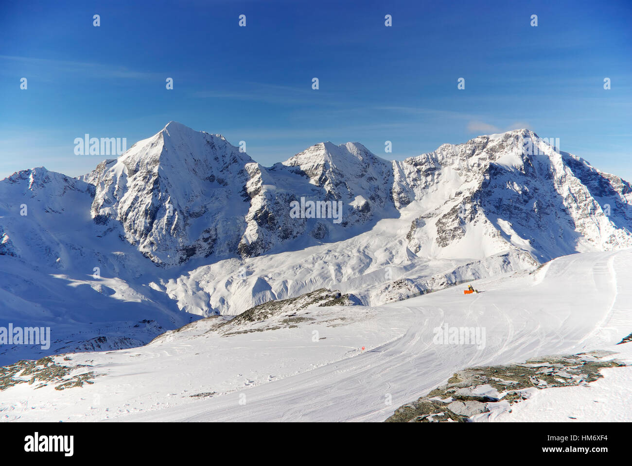Fond gran zebru Banque de photographies et d’images à haute résolution ...