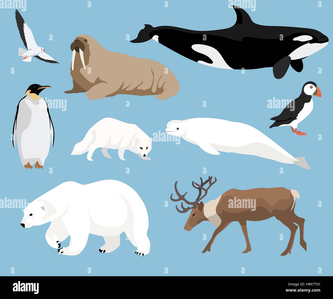 Zoo animaux neige Banque d'images vectorielles - Alamy