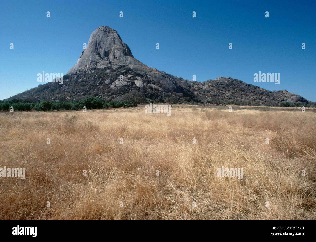 Maroua, cameroon Banque de photographies et d’images à haute résolution ...