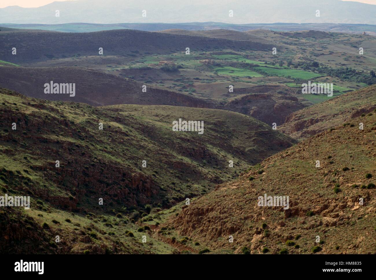 Paysage entre Tlemcen et Maghnia, Algérie Photo Stock - Alamy