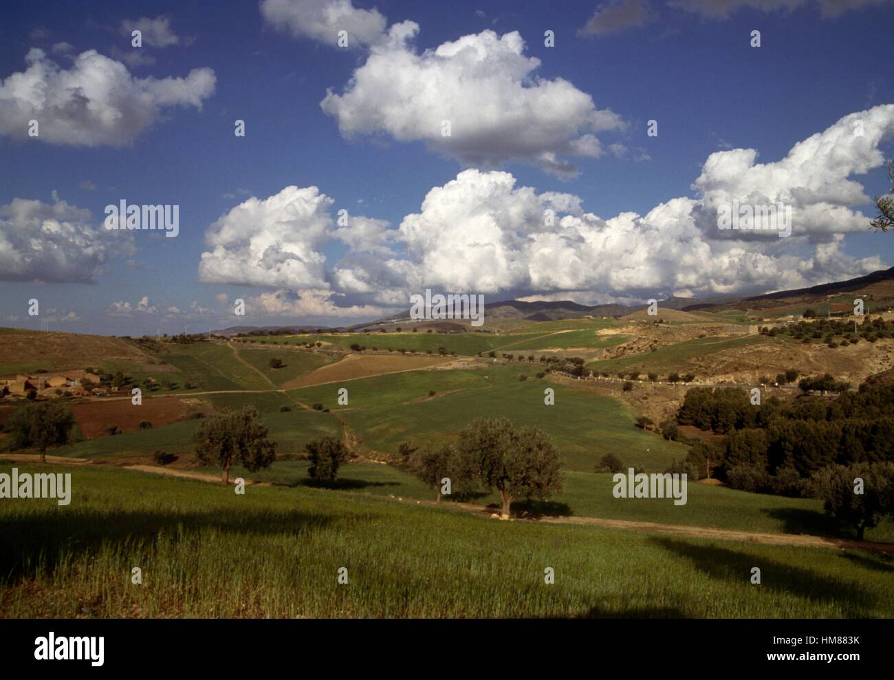 Paysage entre tlemcen et maghnia Banque de photographies et d’images à ...