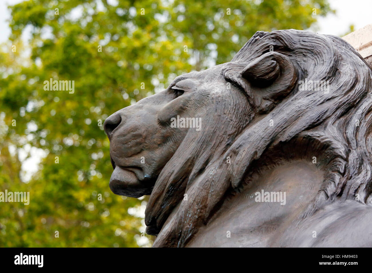 Lion Paris France France Banque d'image et photos - Alamy