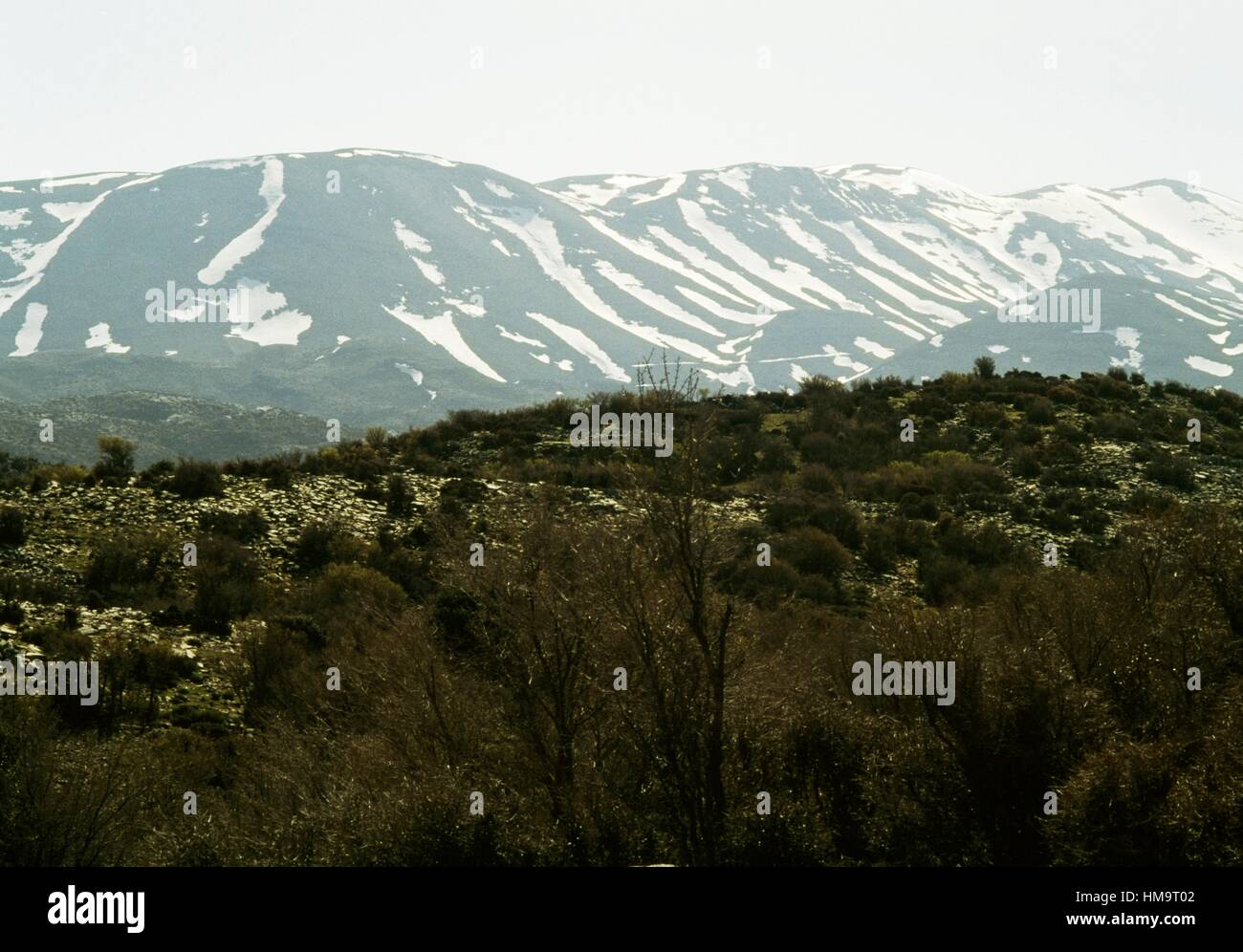 Snow mount ida psiloritis crete Banque de photographies et d’images à ...