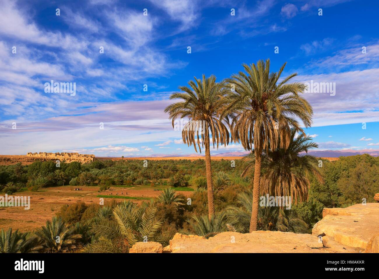 Source Bleue Meski Oasis Banque d'image et photos - Alamy