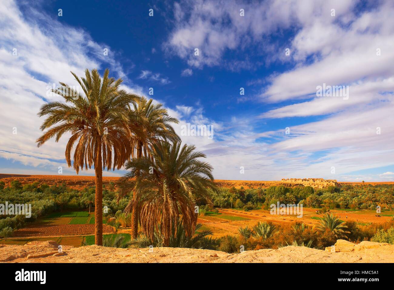 Source Bleue Meski Oasis Banque d'image et photos - Alamy