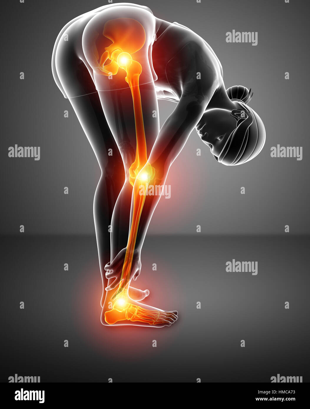 L'anatomie du corps humain avec douleur commune Photo Stock - Alamy