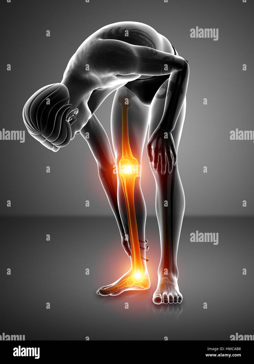 L'anatomie du corps humain avec douleur commune Photo Stock - Alamy