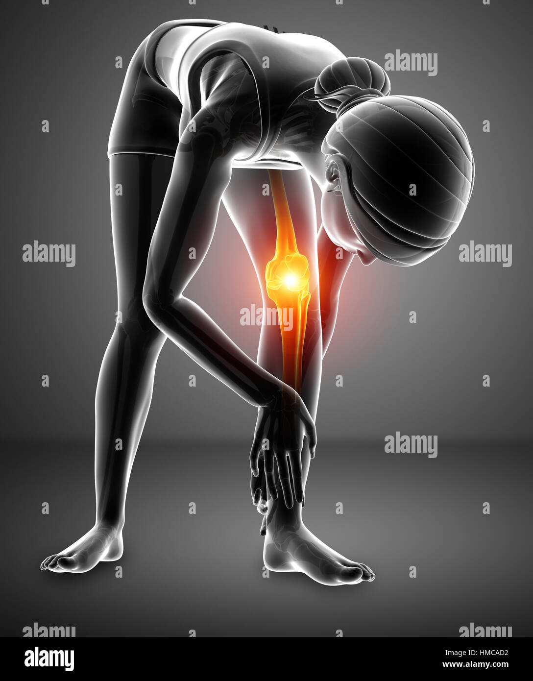 L'anatomie du corps humain avec douleur commune Photo Stock - Alamy