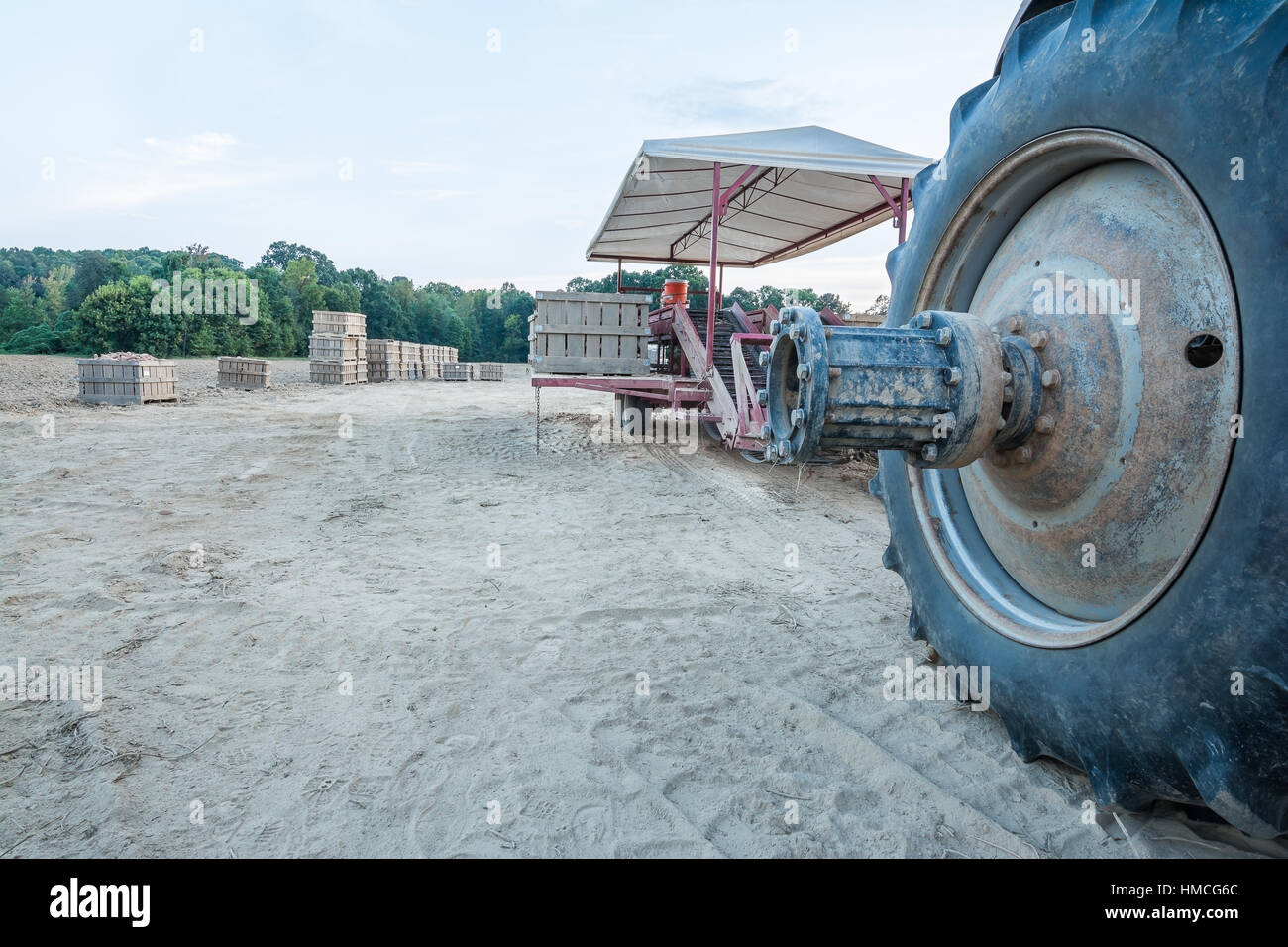 Une traction derrière le tracteur sweet potato harvester. Comme il ...