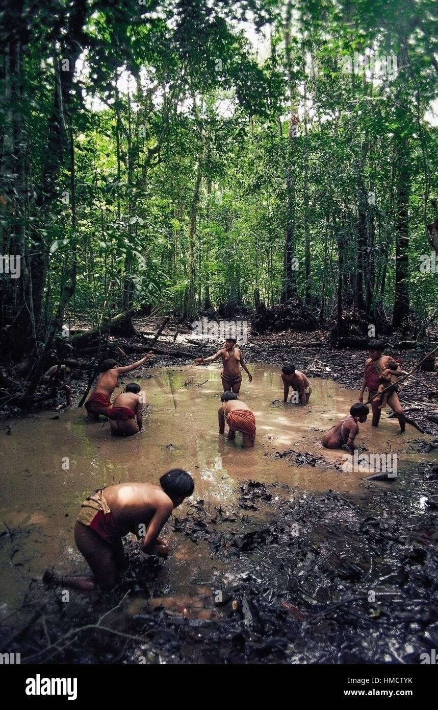 Tribu majecodoteri Banque de photographies et d’images à haute ...
