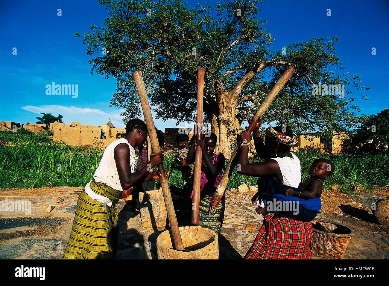 Femmes pilant le mil dans un mortier Banque de photographies et d ...