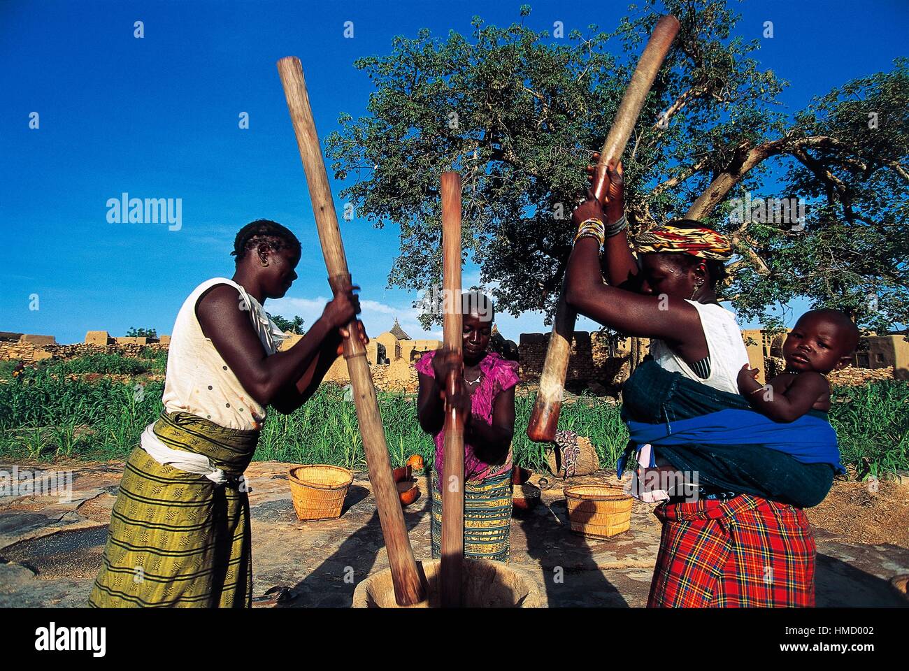 Femmes pilant le mil dans un mortier Banque de photographies et d ...