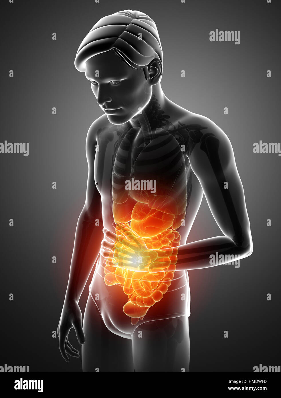 L'anatomie du corps humain avec douleur commune Photo Stock - Alamy