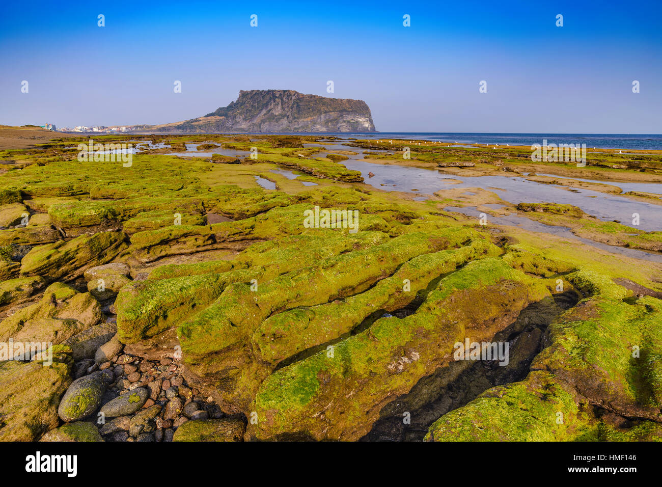 Jeju island landscape Banque de photographies et d’images à haute ...