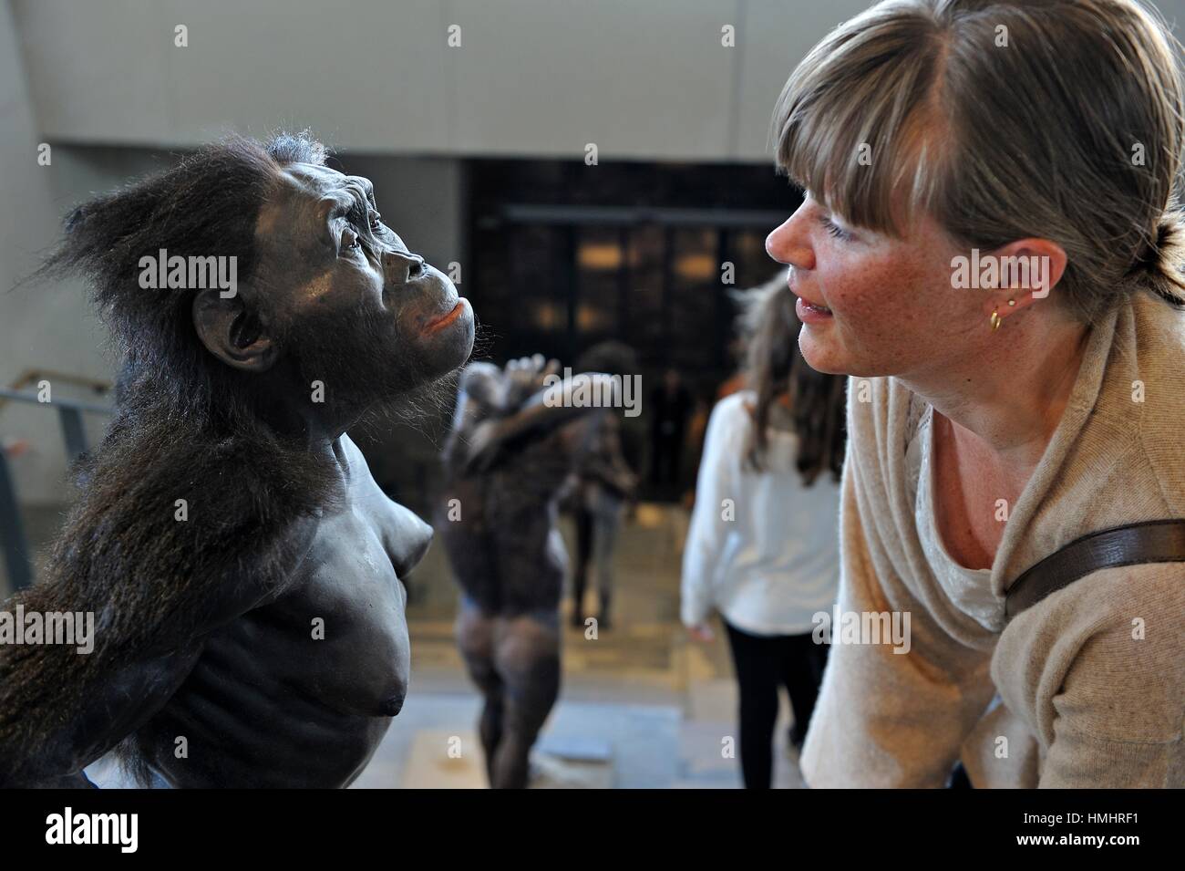 Lucy australopithecus Banque de photographies et d’images à haute ...