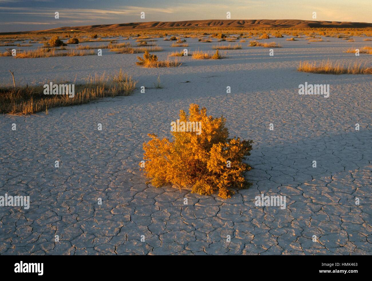 Harney lake Banque de photographies et d’images à haute résolution - Alamy