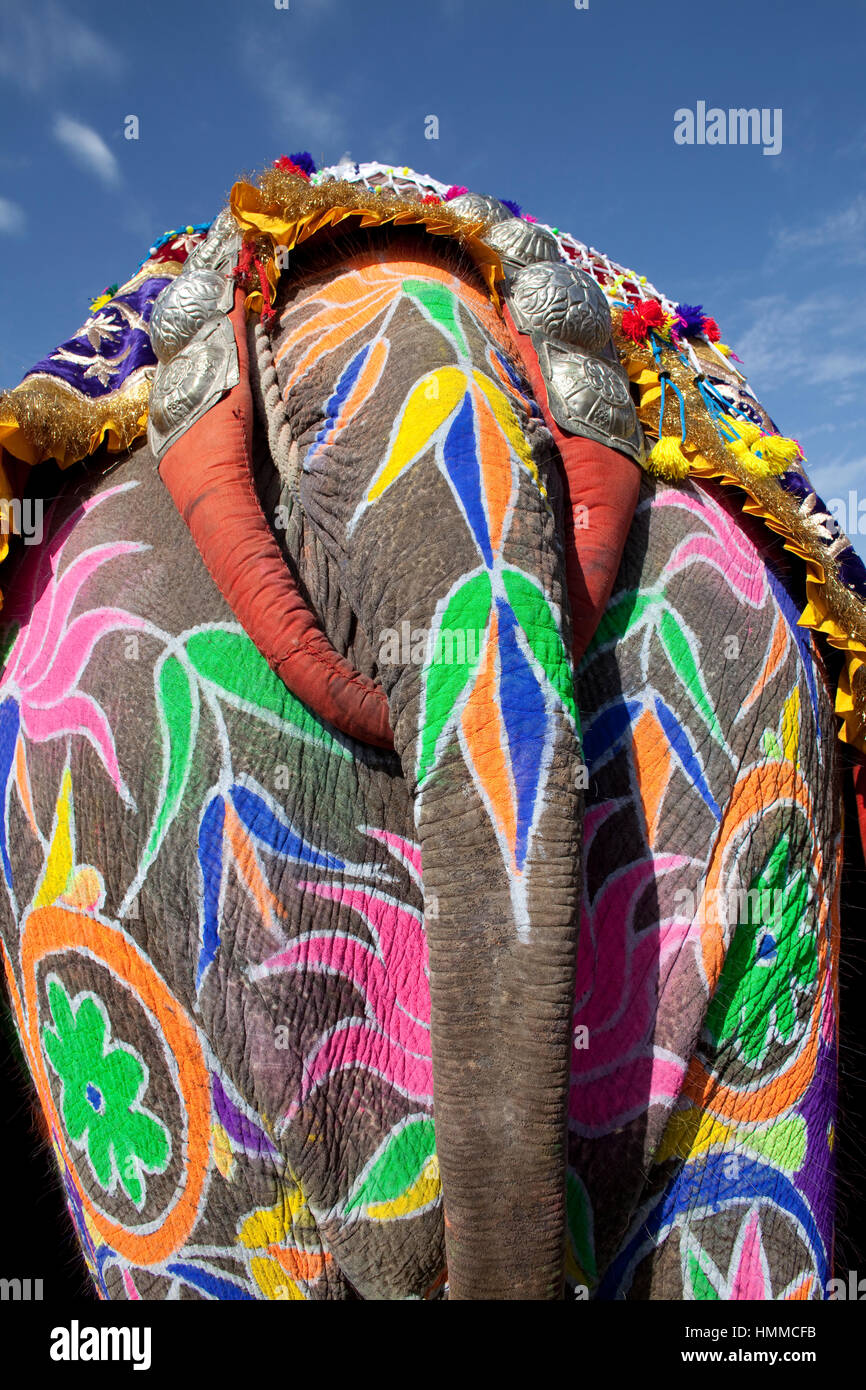 Elephant parade india Banque de photographies et d’images à haute ...