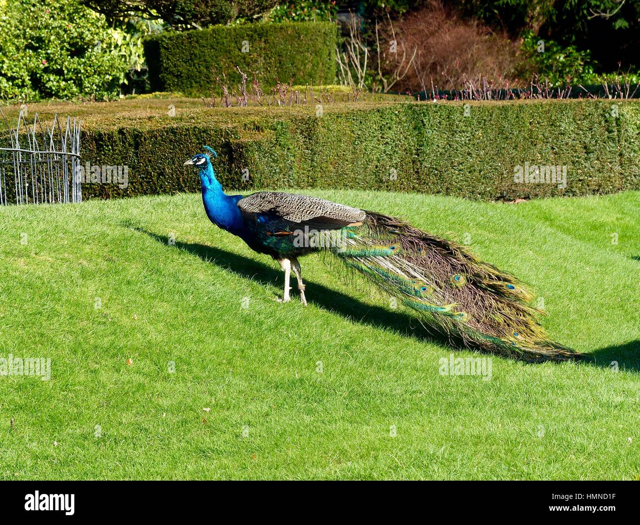 Warwick castle gardens Banque de photographies et d’images à haute ...