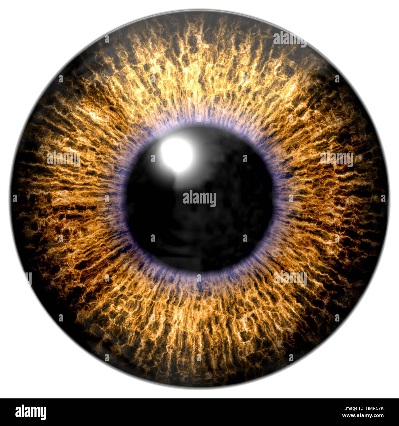 La texture de l'iris des yeux de couleurs réalistes Photo Stock - Alamy