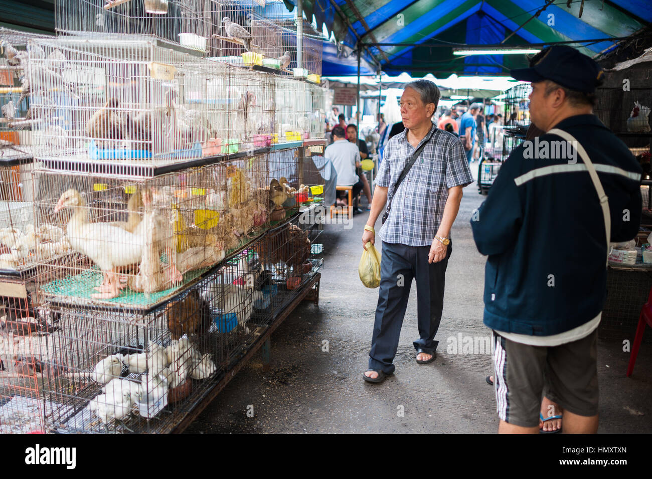 Animals chatuchak market bangkok Banque de photographies et d’images à ...