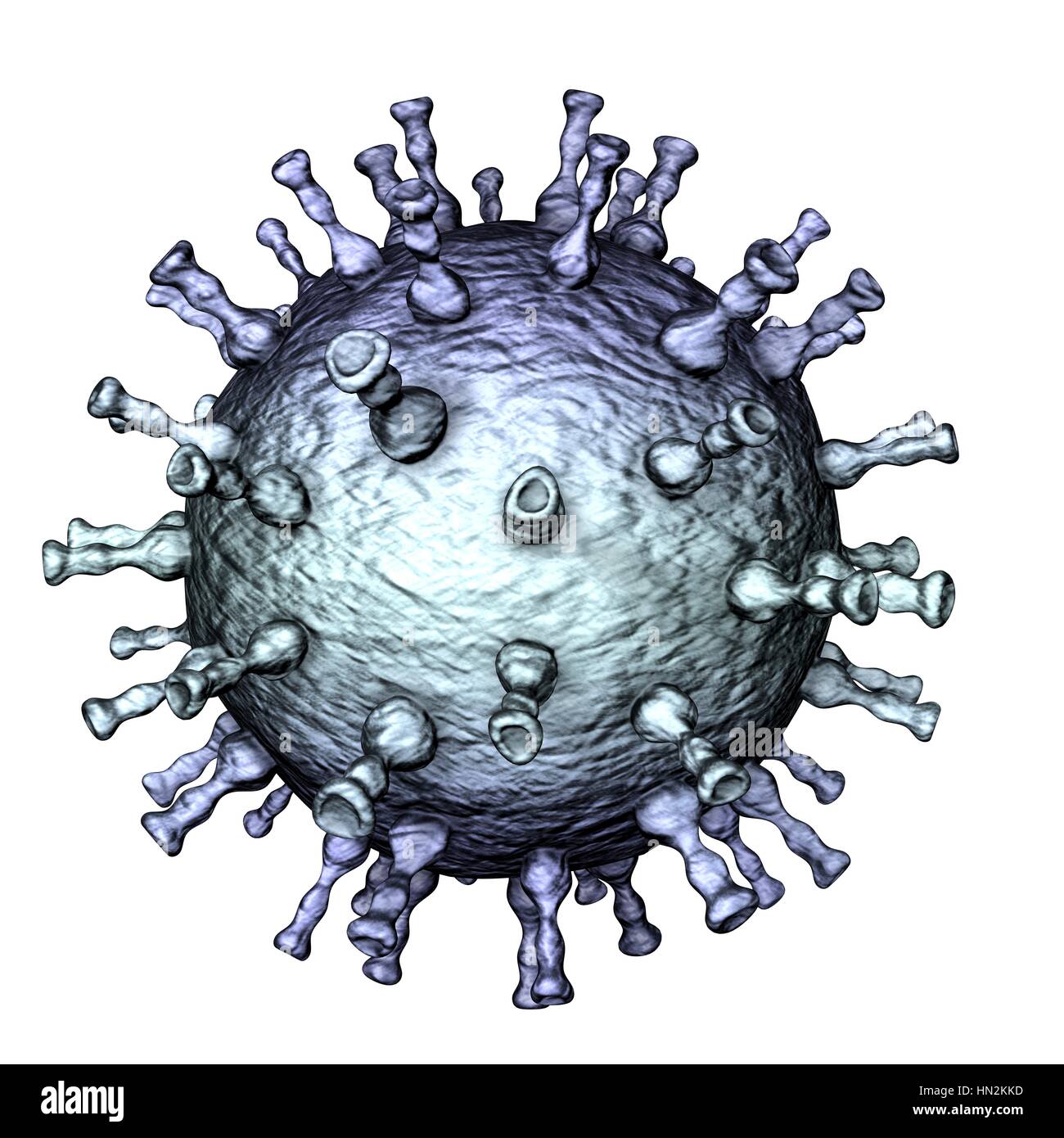 Virus varicelle zona Banque d'images détourées - Alamy