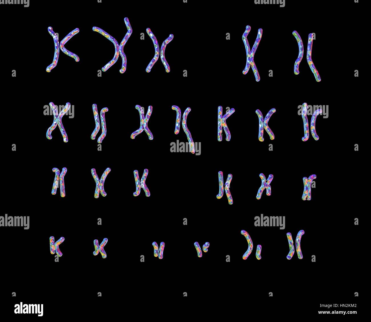 Chromosome.Computer Philadelphie illustration de caryotype (homme ou ...