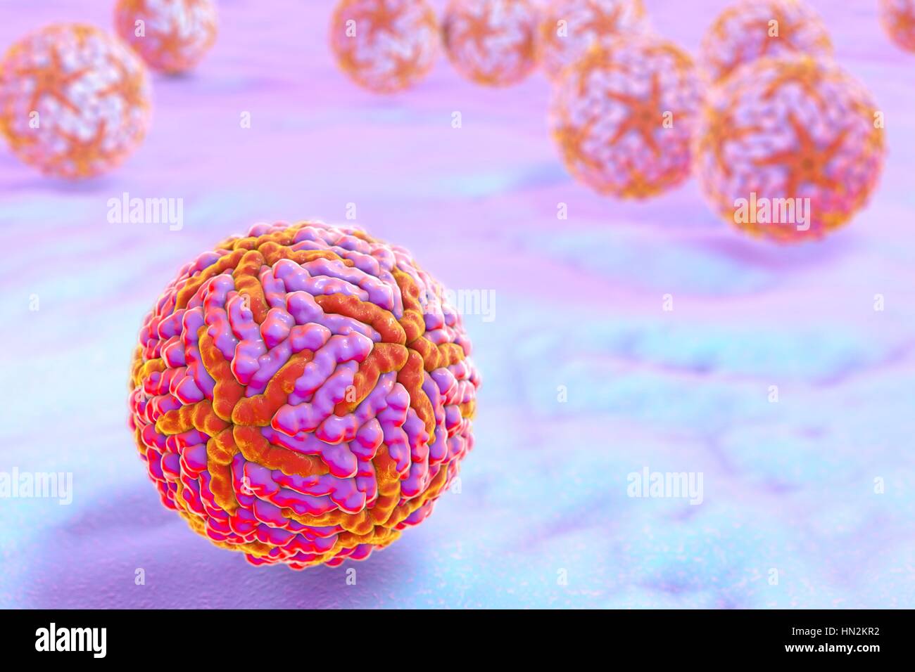 Zika virus, illustration de l'ordinateur. Il s'agit d'un acide ...