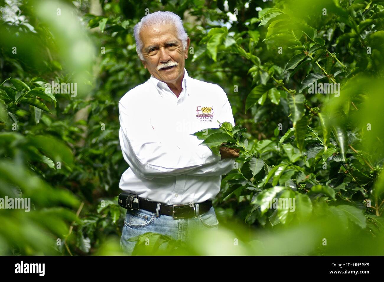 Don pachi Banque de photographies et d’images à haute résolution - Alamy