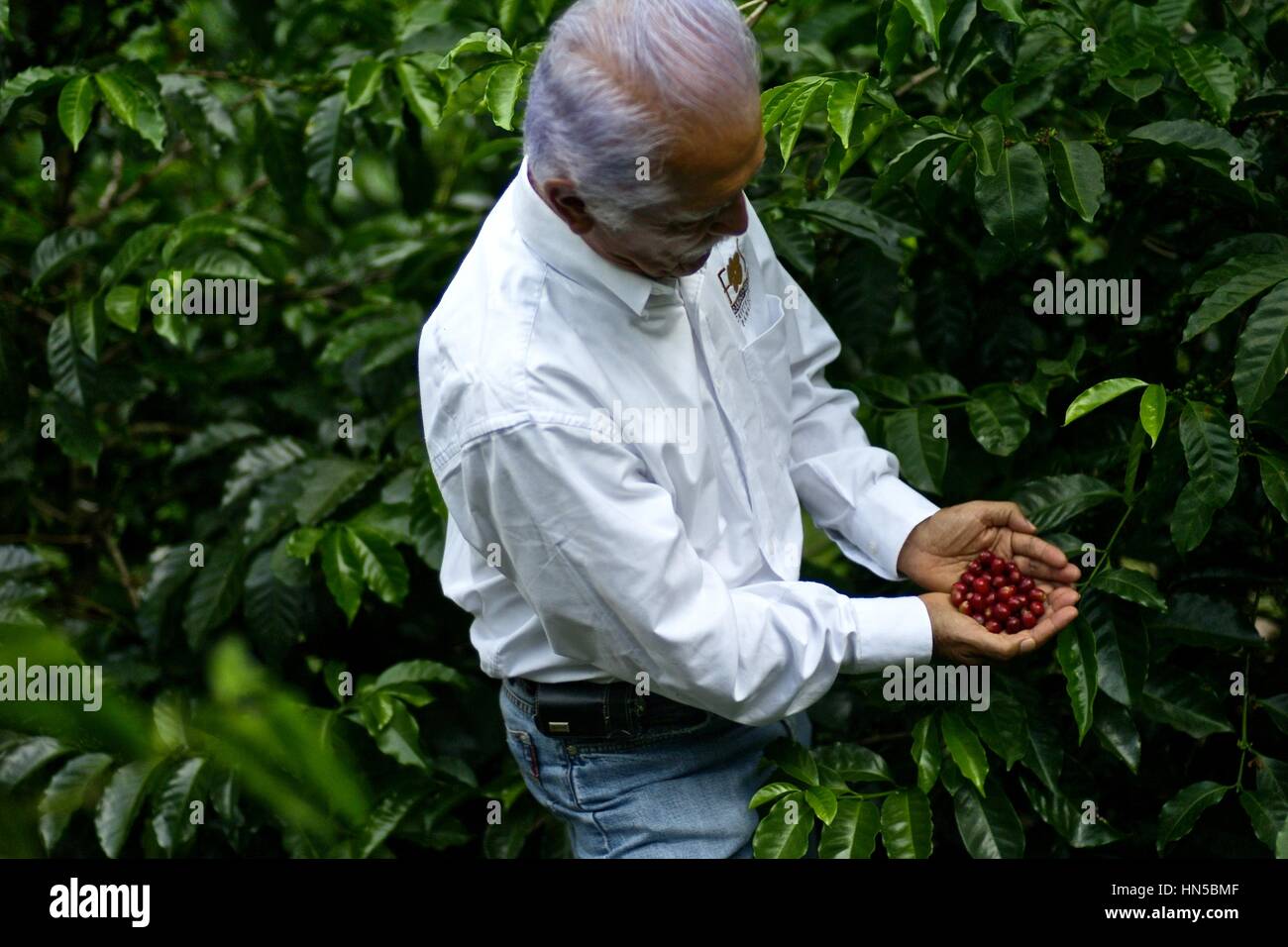 Don pachi Banque de photographies et d’images à haute résolution - Alamy
