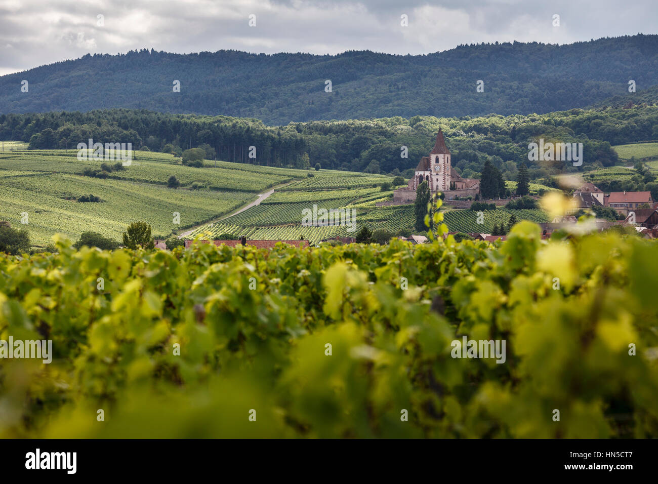 Route des vins dalsace Banque de photographies et d’images à haute ...