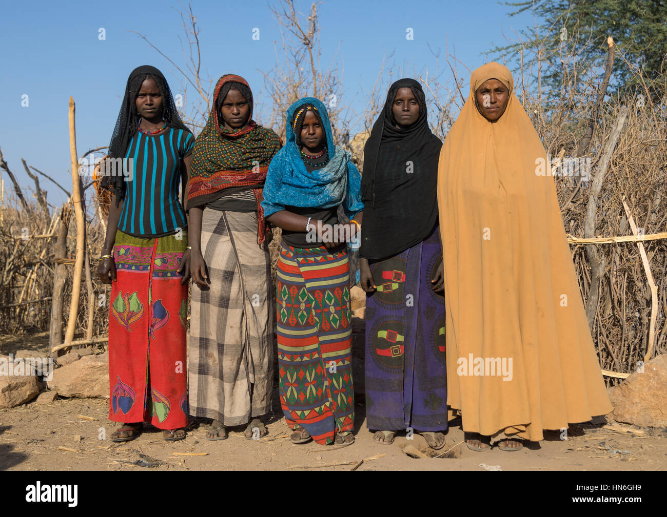 Portrait Afar Tribe Women Afar Banque De Photographies Et Dimages à
