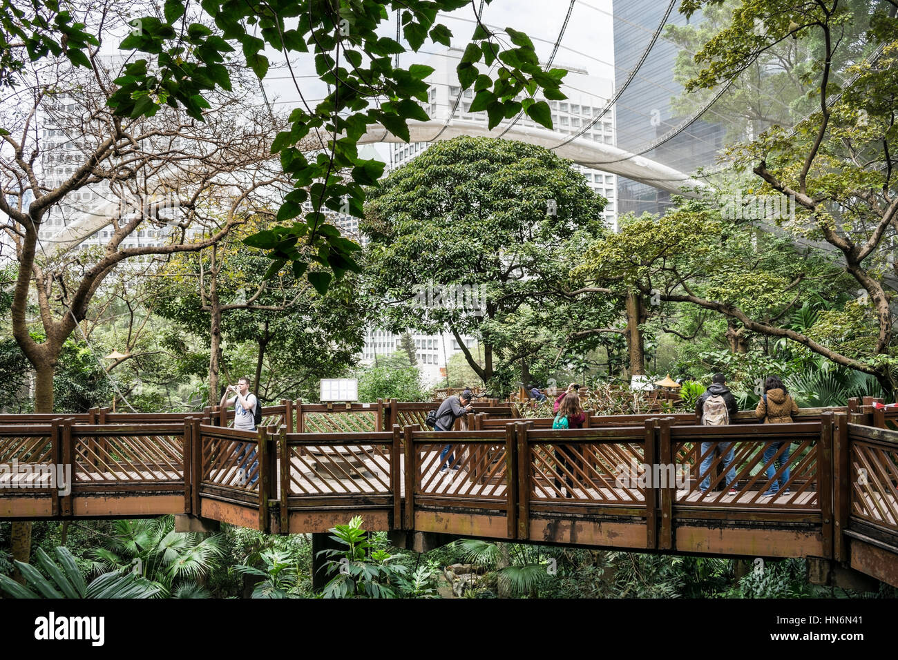À l'intérieur de la Volière Edward Youde à Hong Kong Photo Stock - Alamy