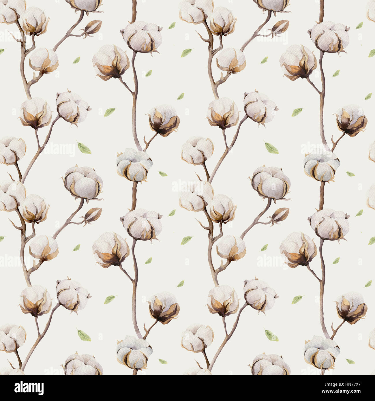 Dessin fleur de coton Banque de photographies et d’images à haute ...