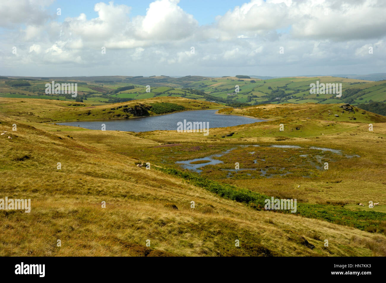 Llyn celyn Banque de photographies et d’images à haute résolution - Alamy