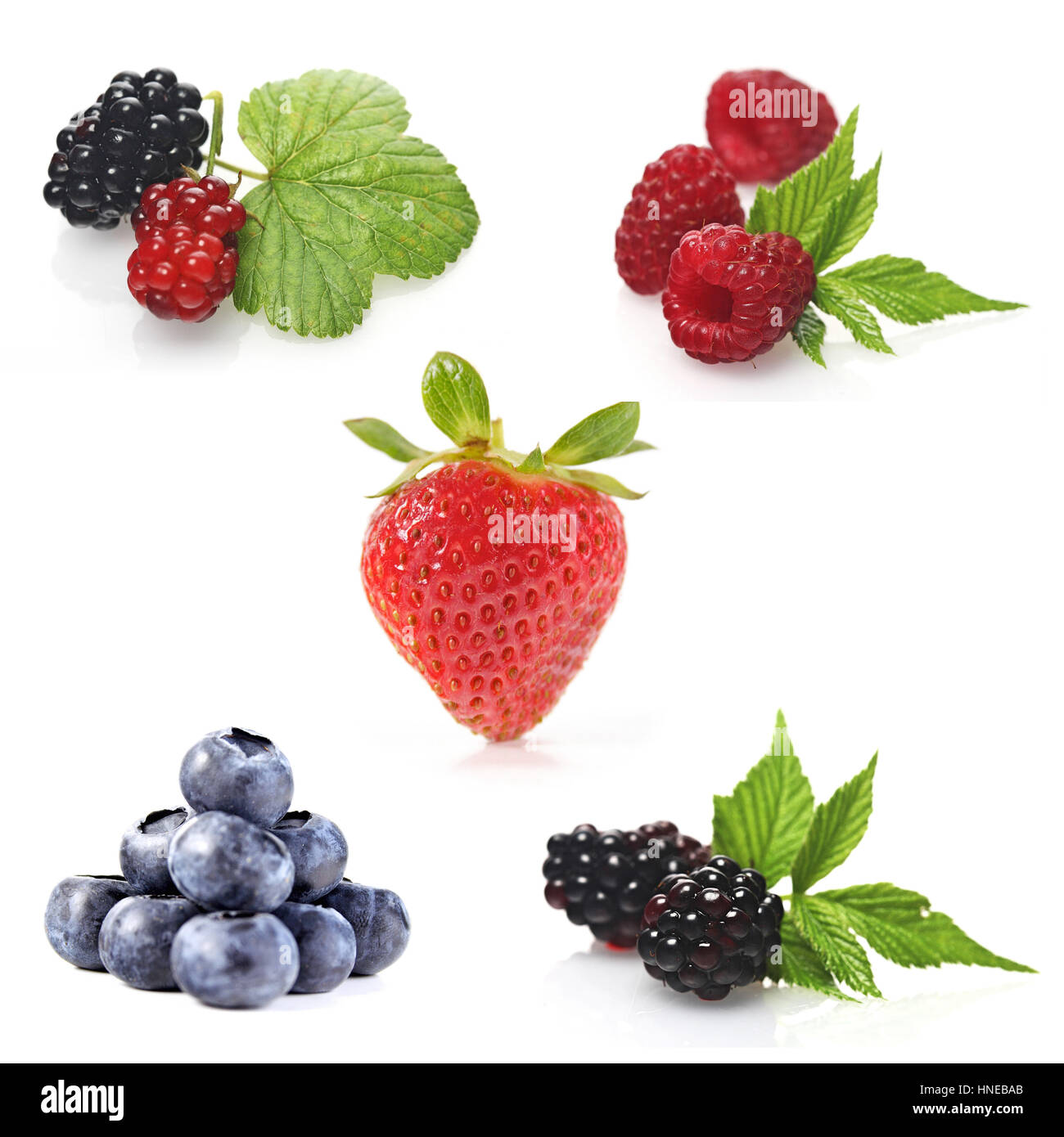 Baies sur fond blanc Banque d'images détourées - Alamy