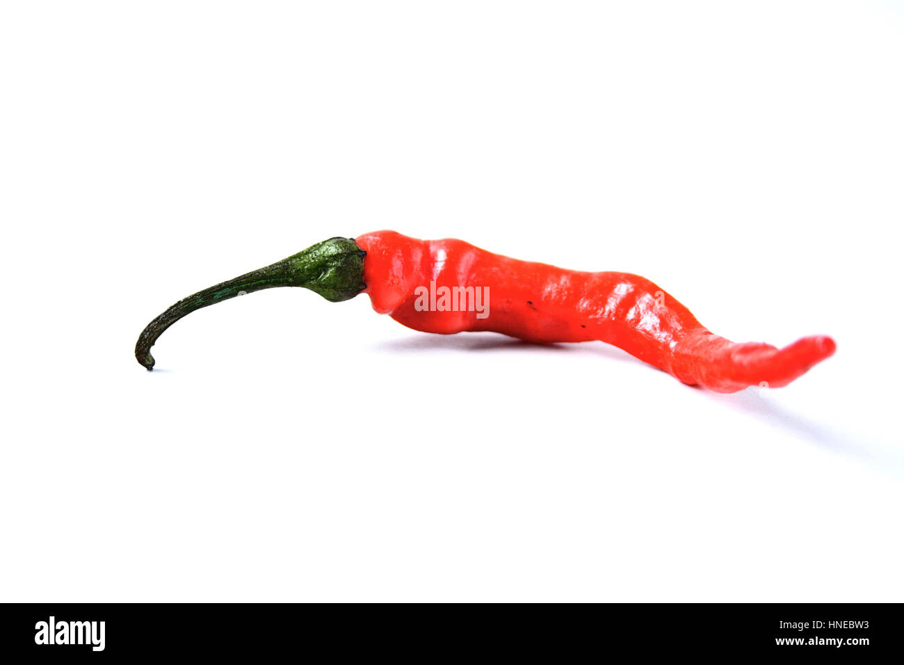 Plante de piment jalapeno rouge Banque de photographies et d’images à ...