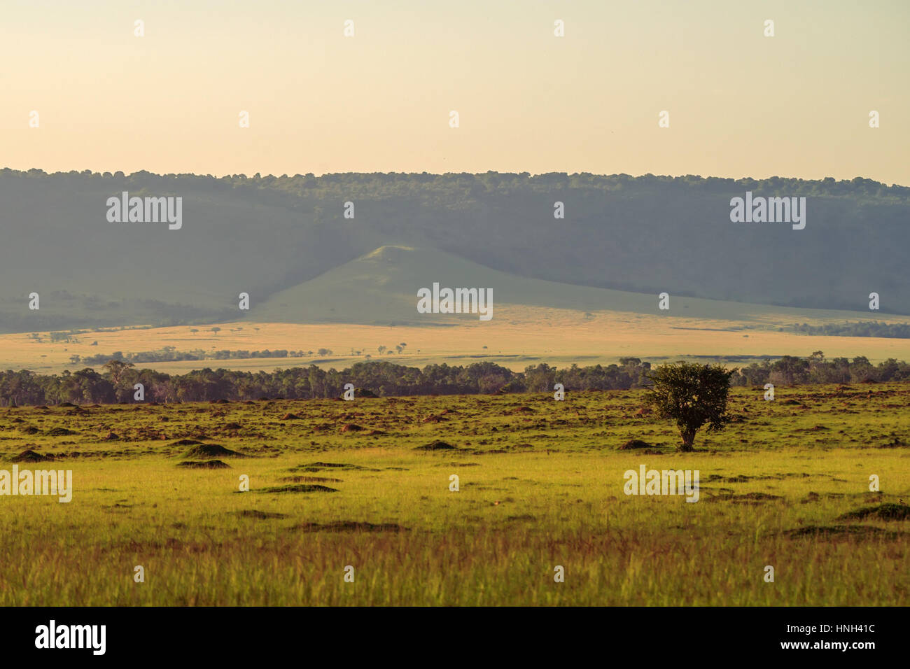 Paysage de savane africaine pittoresque dans le Masai Mara, Kenya Photo ...
