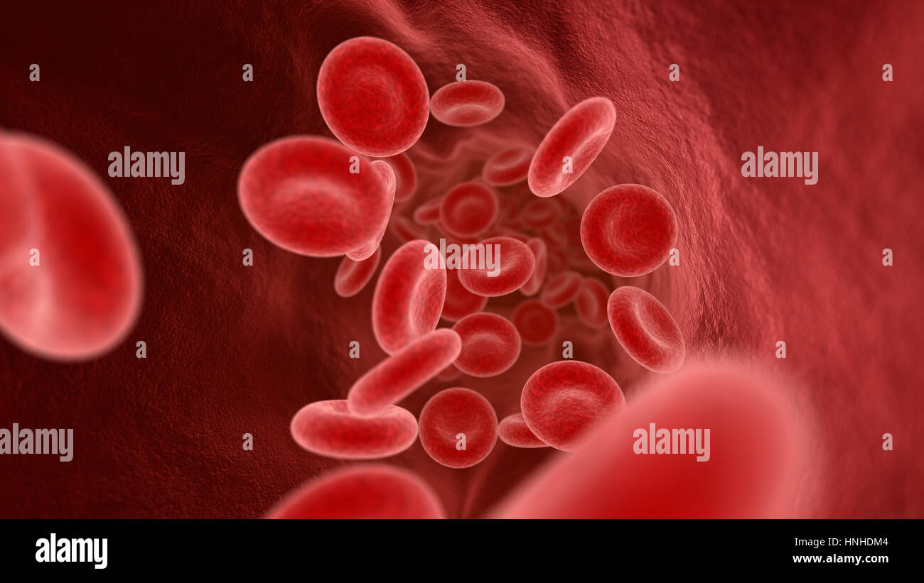 Les plasmocytes Banque de photographies et d’images à haute résolution ...