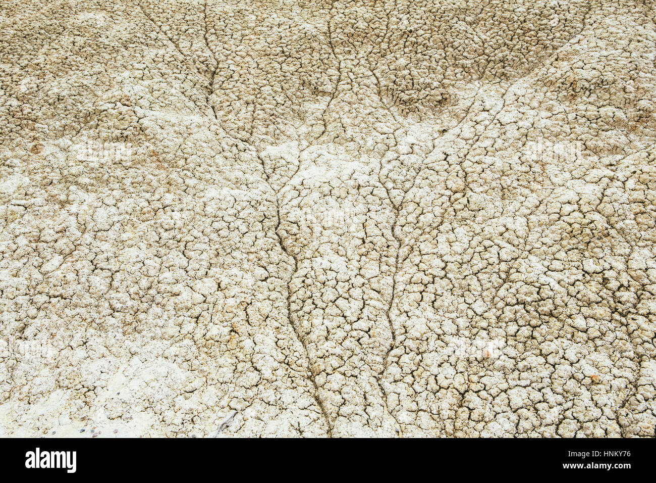 Parched soil Banque de photographies et d’images à haute résolution - Alamy