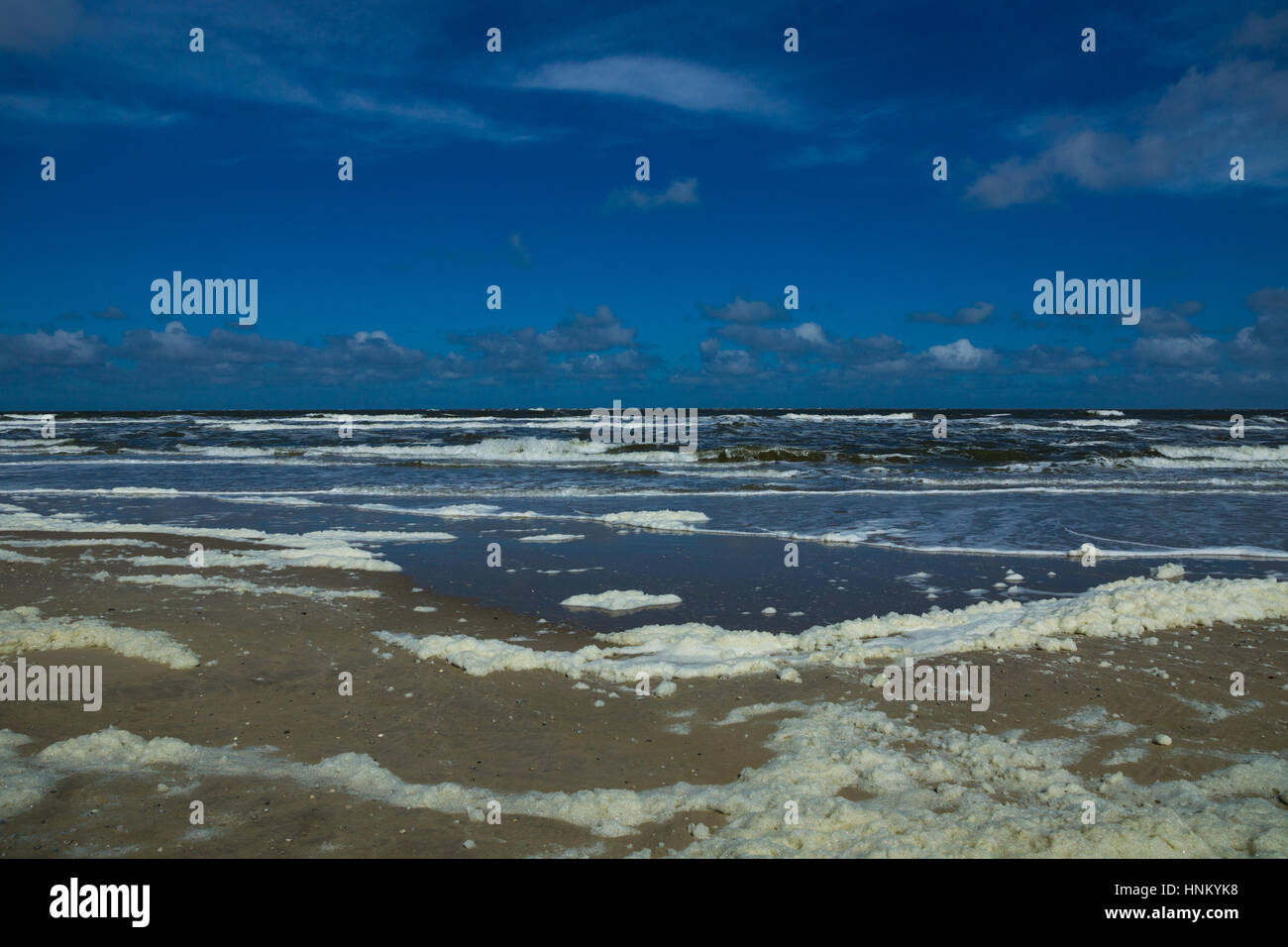 Texel island Banque de photographies et d’images à haute résolution - Alamy