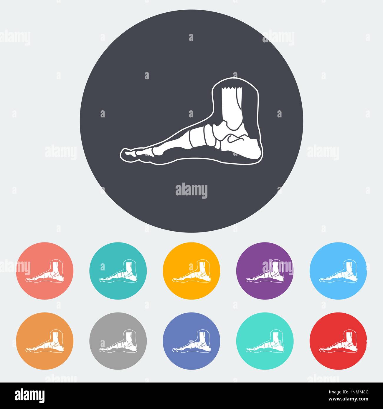 L'anatomie du pied. Seule simple icône sur le cercle. Vector ...