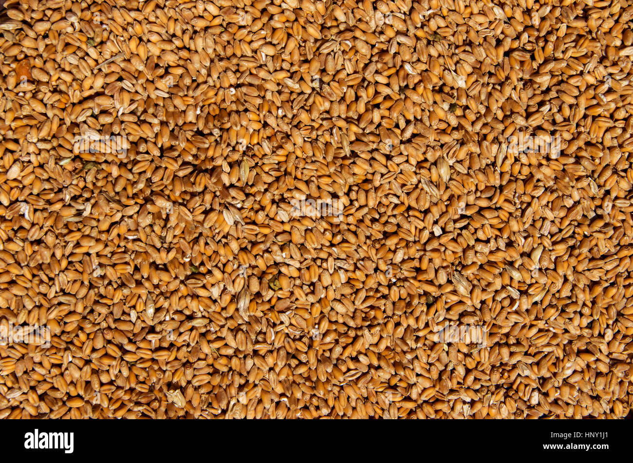 Exportation De Grain Banque d'image et photos - Alamy