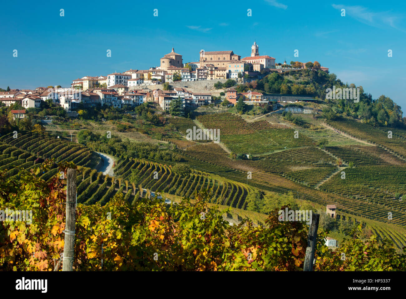 Vue sur les vignes de Nebbiolo ville médiévale de La Morra, Piemonte ...