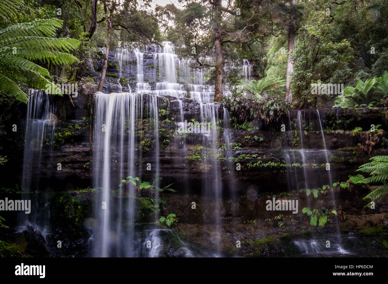 Mount field national park Banque de photographies et d’images à haute ...
