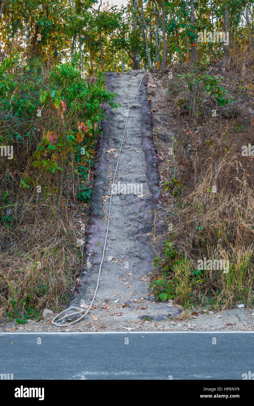 Formation de scout Banque de photographies et d’images à haute ...