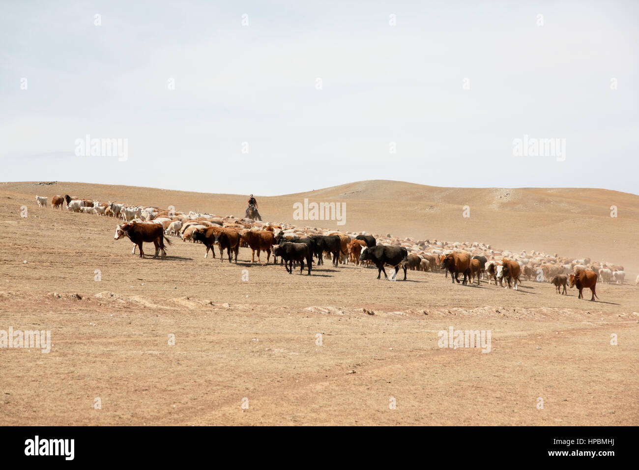 Parc national de keketuohai Banque de photographies et d’images à haute ...
