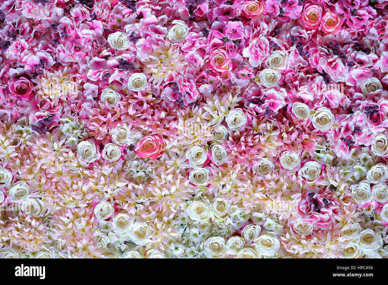 Aquarelle floral bouquet de fleurs frame backdrop Banque de ...