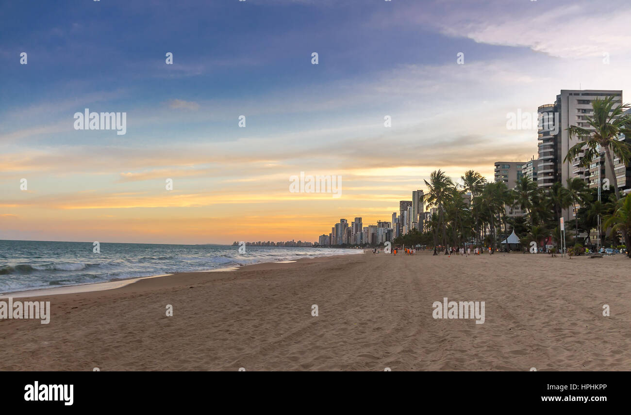 Pernambuco tree Banque de photographies et d’images à haute résolution ...