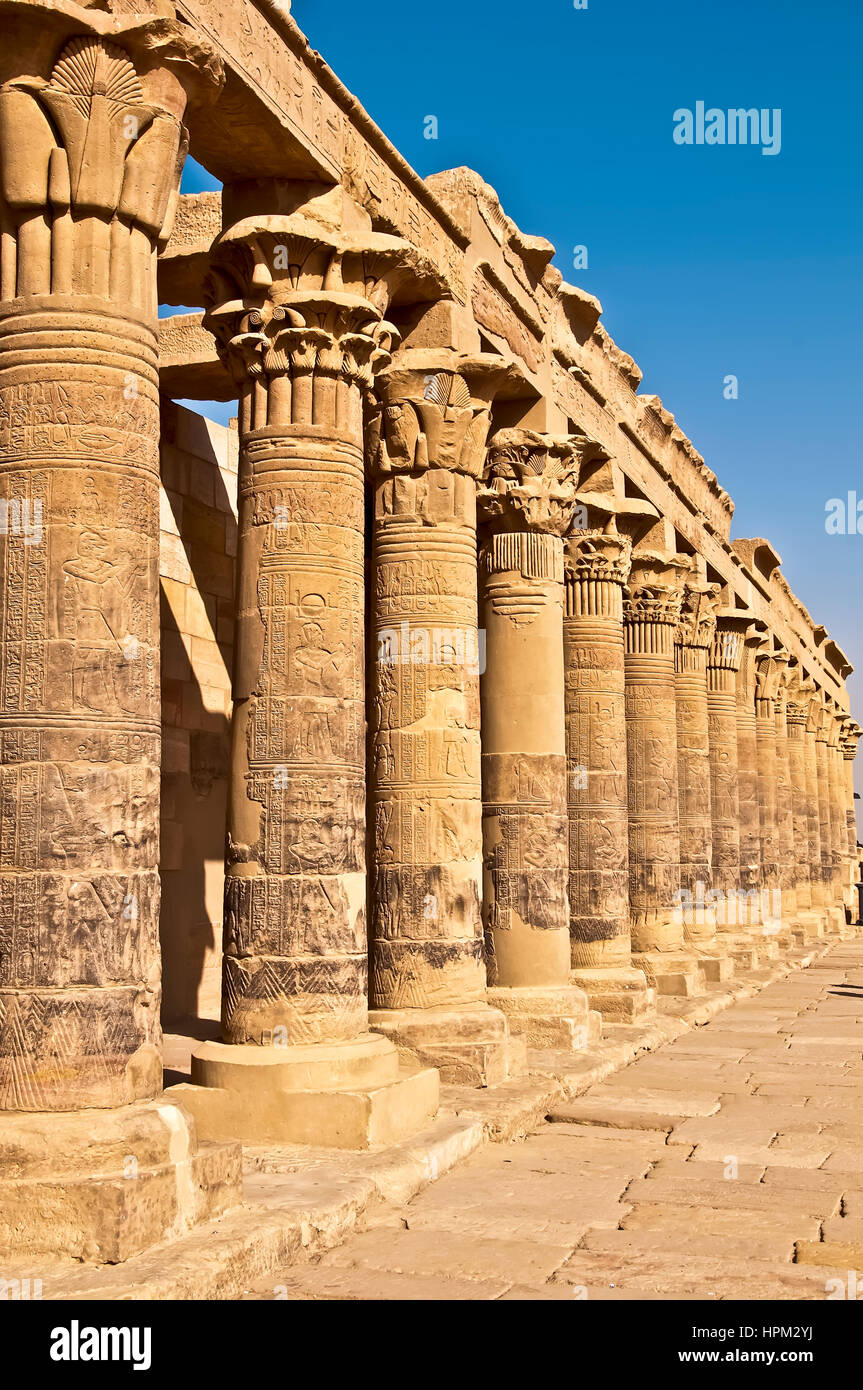 Rangée de colonnes extérieures avec des fleurs de lotus en haut et pas ...